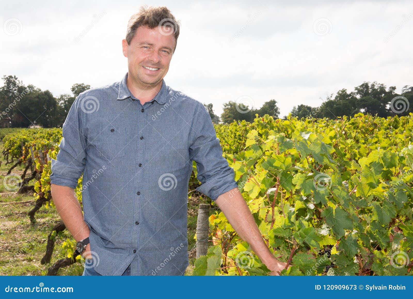 Smiling Man Vintner Posing at Vineyard Stock Image - Image of people ...