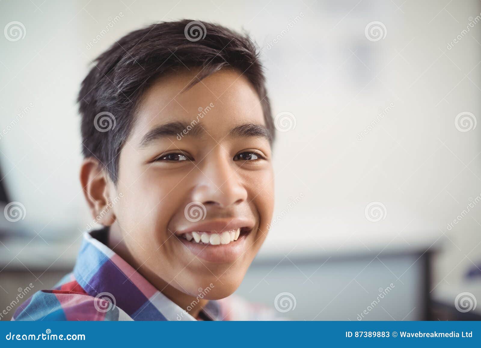 Portrait of Smiling Schoolboy Stock Image - Image of male, secondary ...