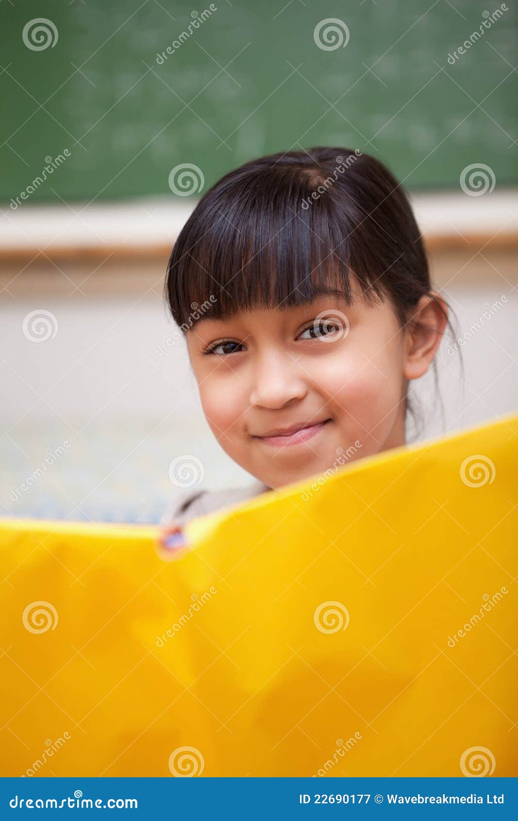 Portrait of a Smiling Schoolgirl Reading Stock Image - Image of ...