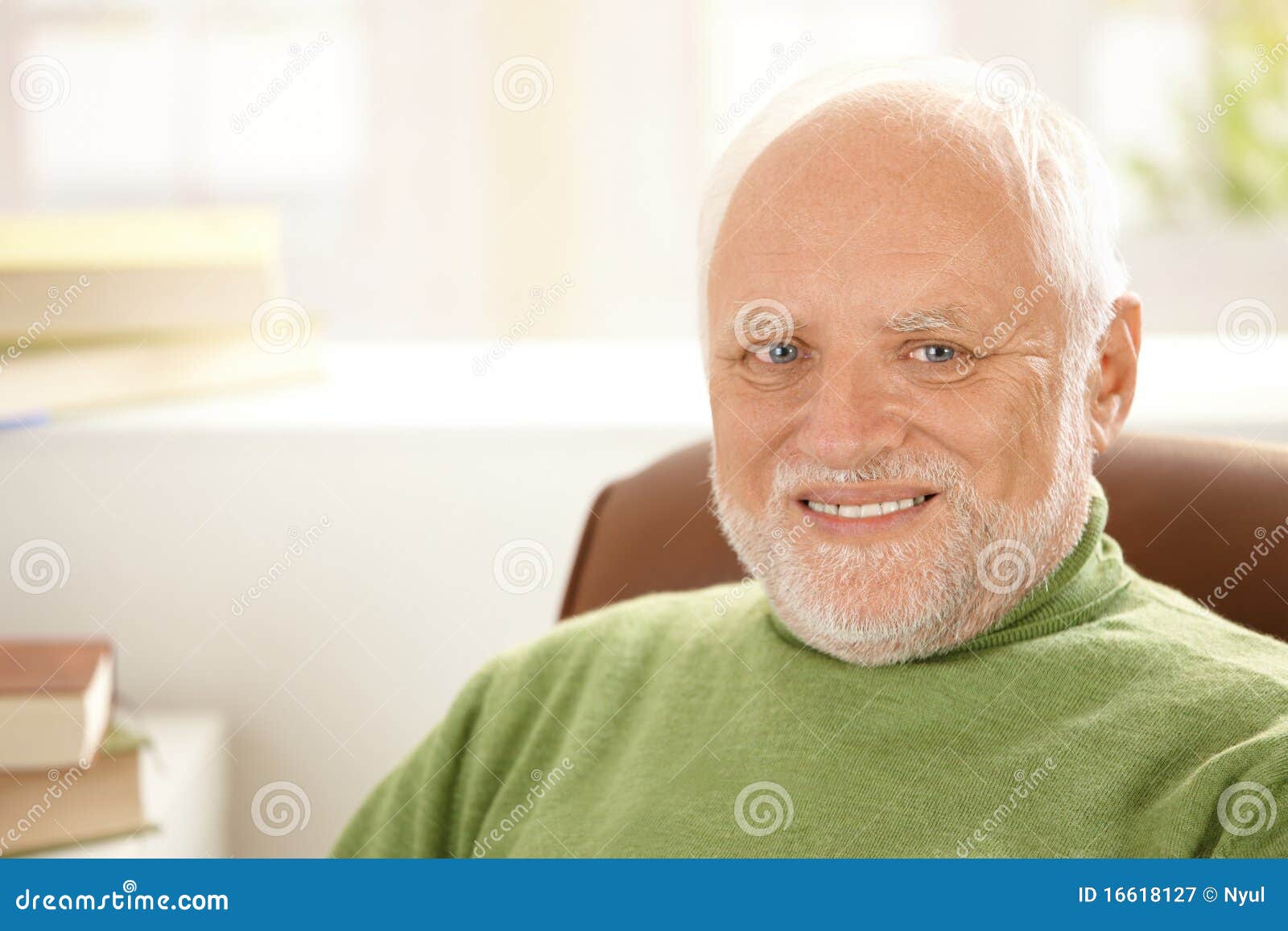 Portrait of Smiling Senior Man Stock Image - Image of lifestyle ...