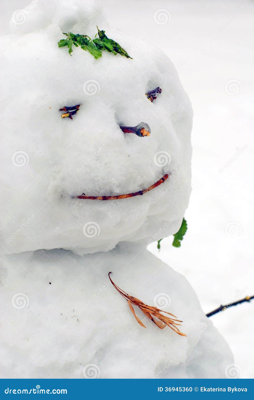 Portrait of a snowman stock photo. Image of closeup, smile - 36945360