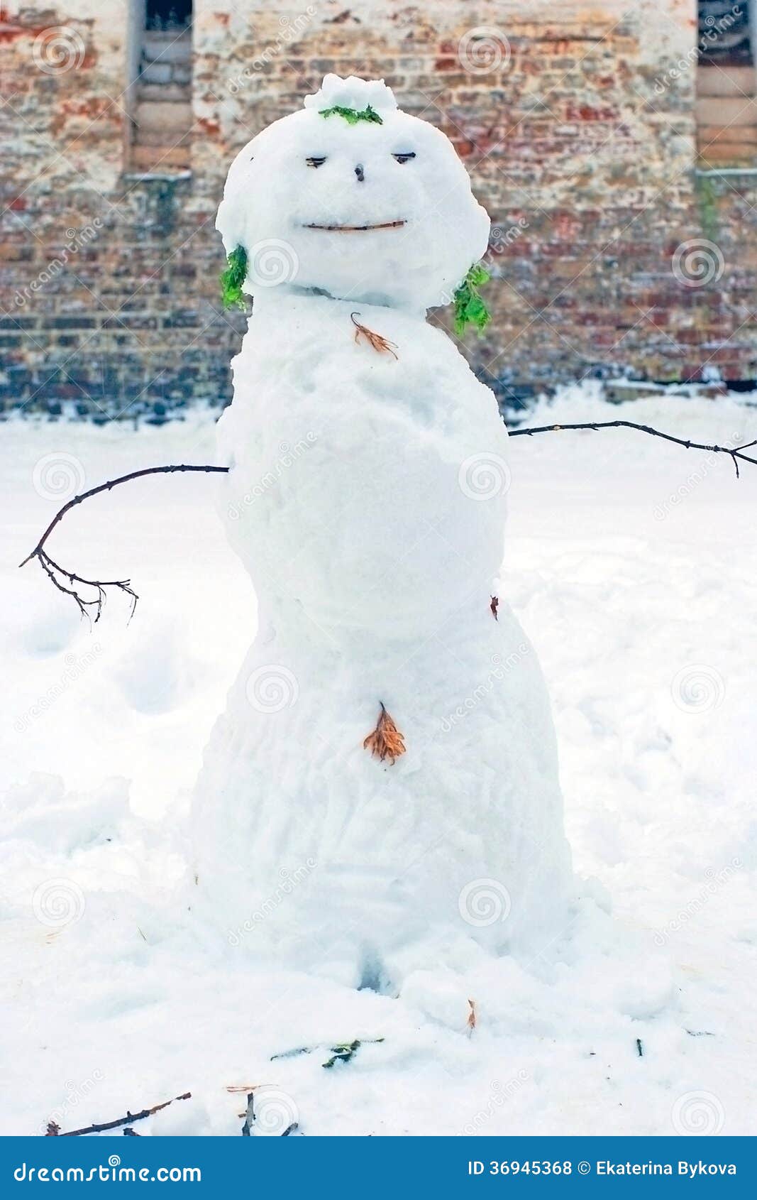 Portrait of a snowman stock photo. Image of head, white - 36945368