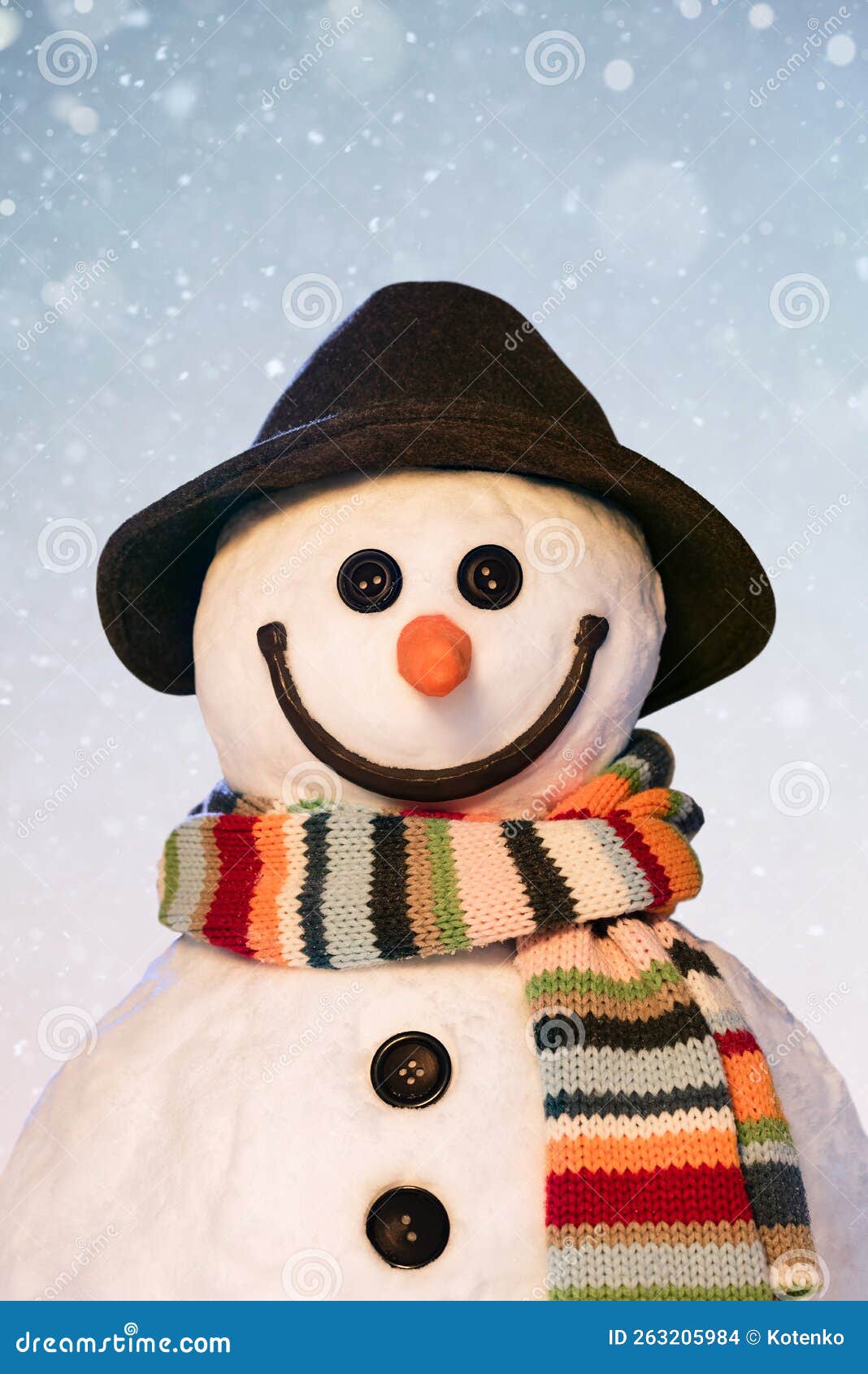 Portrait of a Snowman stock photo. Image of cute, portrait - 263205984