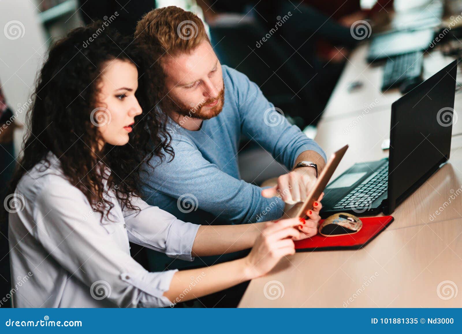 Portrait of Software Engineers Using Digital Tablet Stock Image - Image ...