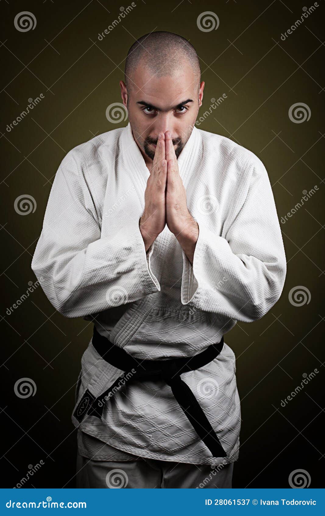 Portrait of Standing Karate Master Stock Image - Image of pose, uniform ...