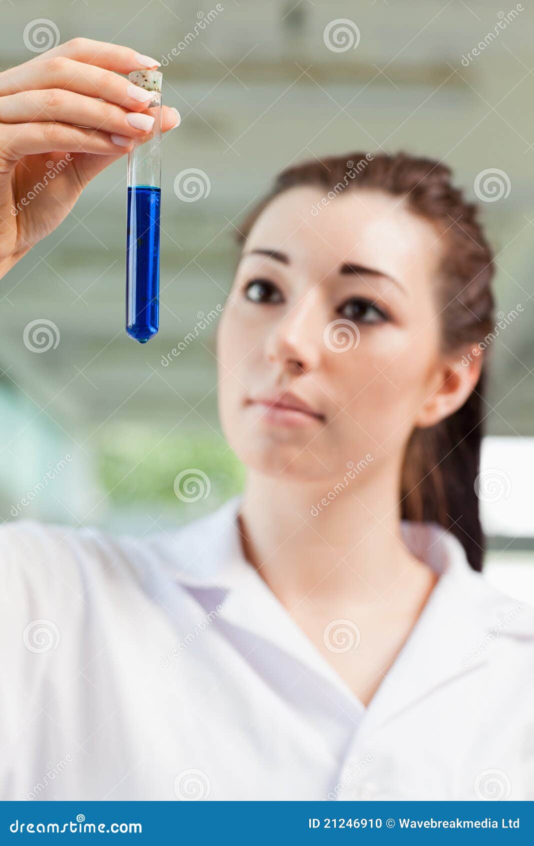Portrait of a Student Looking at a Test Tube Stock Photo - Image of ...