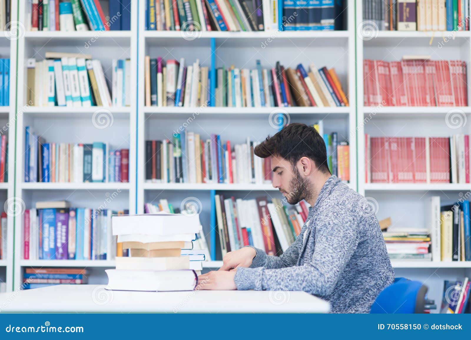 Portrait of Student while Reading Book in School Library Stock Photo ...
