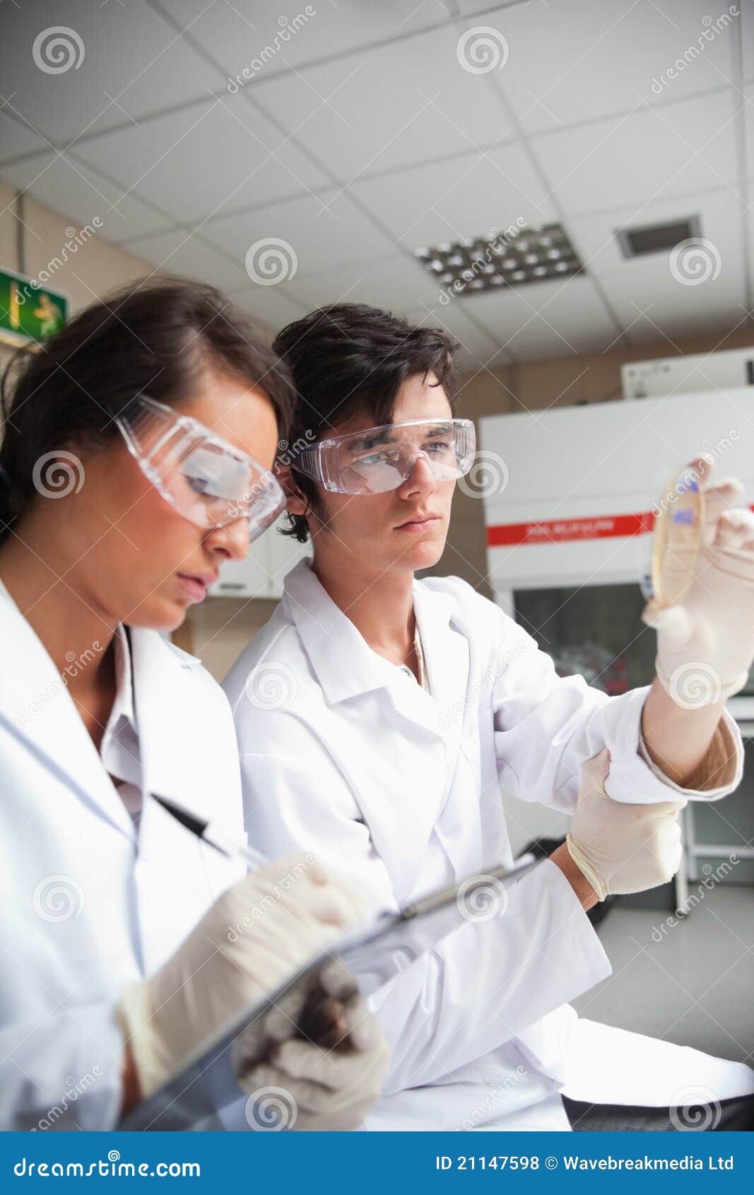 Portrait of Students in Science Looking Stock Photo - Image of ...