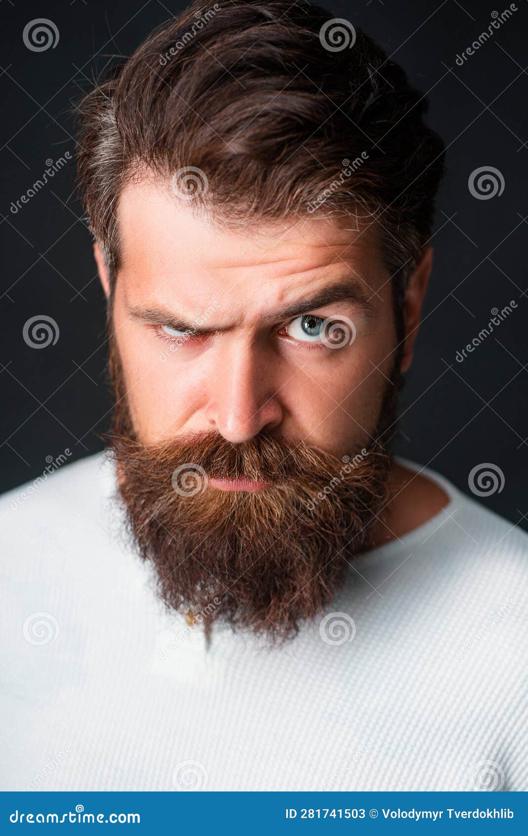 Portrait of Stylish Handsome Young Man with Beard Standing on Black ...