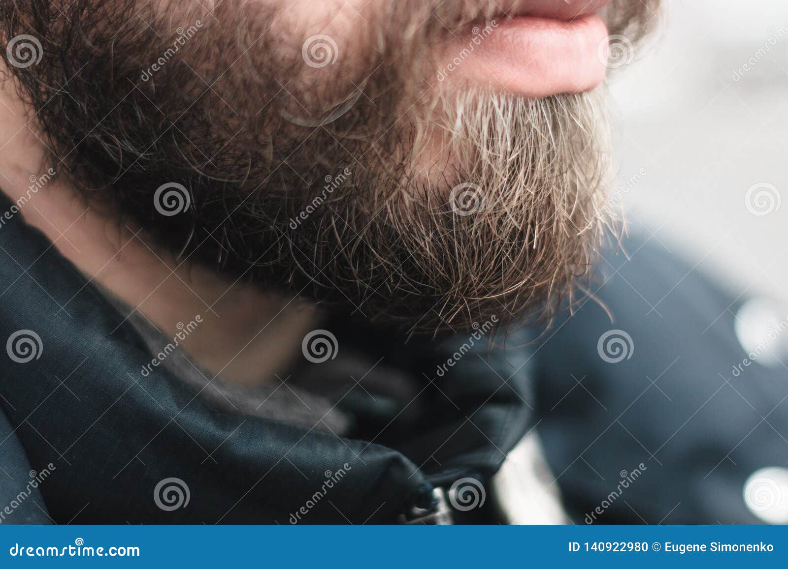 Portrait of Stylish Young Man with Heavy Beard Stock Photo - Image of ...