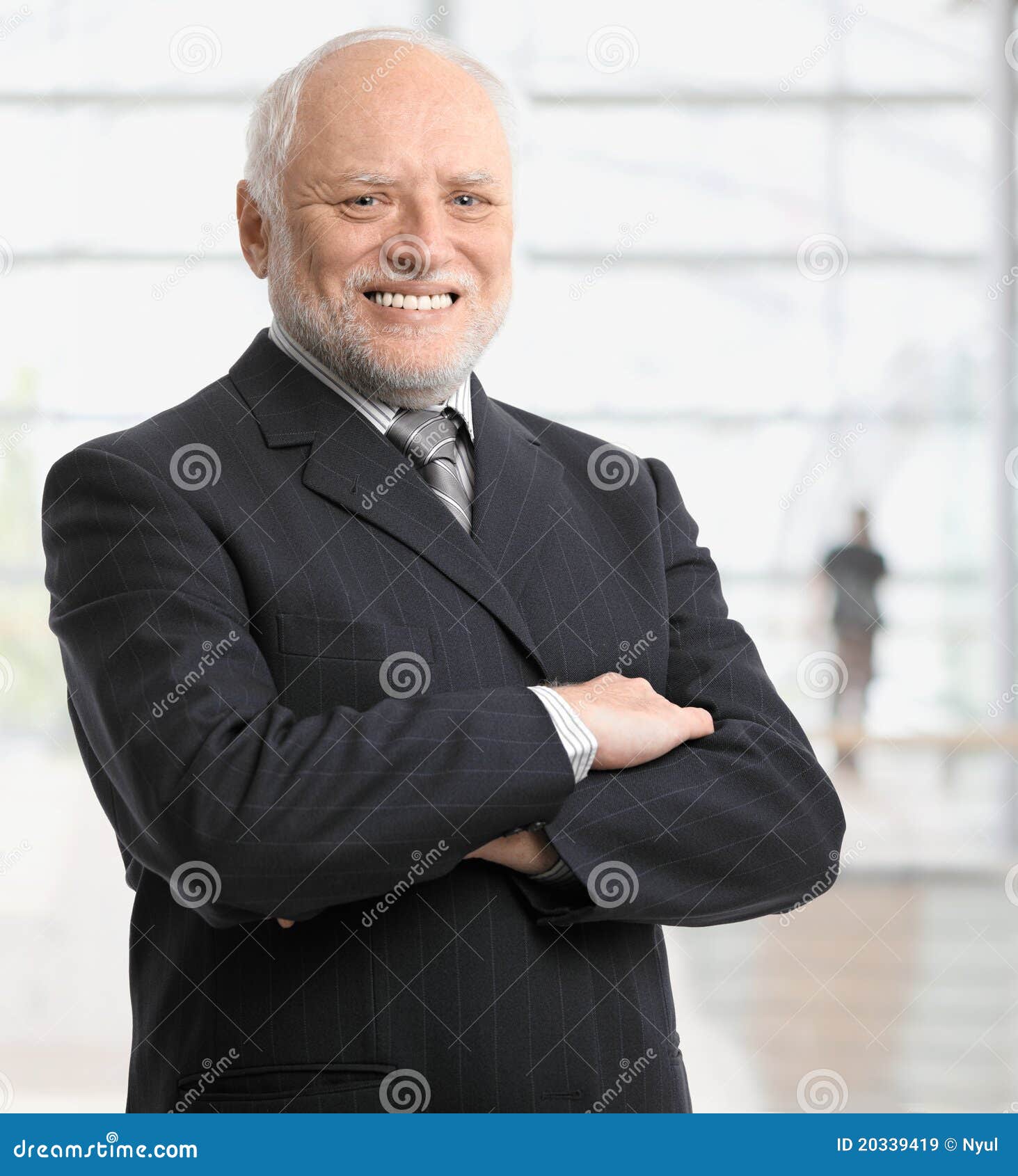 Portrait of Successful Businessman Stock Image - Image of elderly ... Portrait of Successful Businessman Stock Image - Image of elderly ...