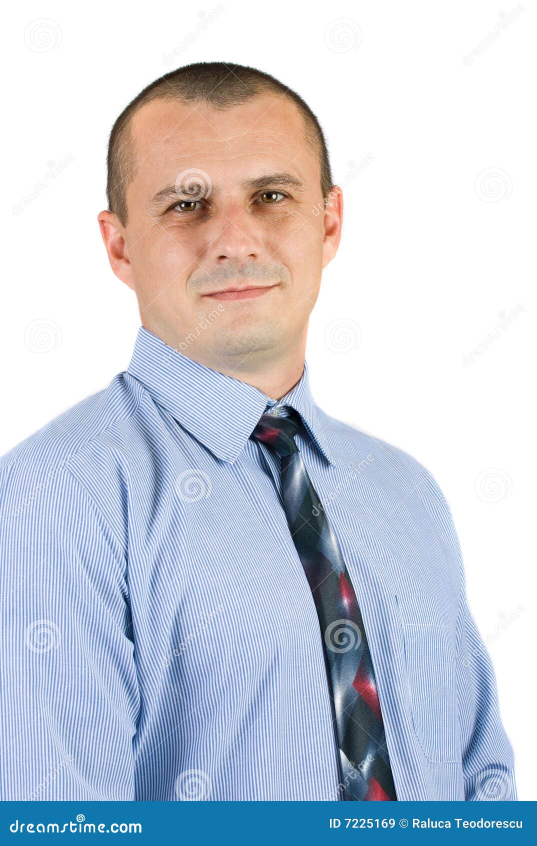 Portrait of a Successful Businessman Stock Image - Image of alone ...