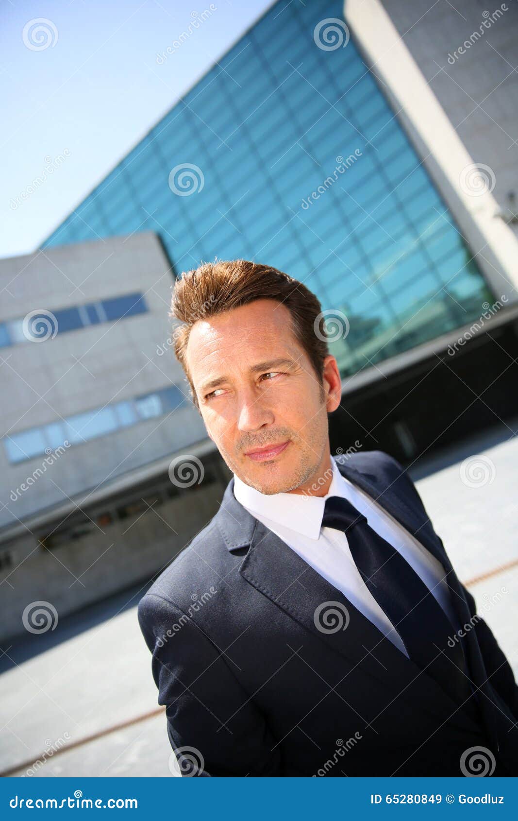 Portrait of Successful Businessman Stock Image - Image of portraot ...