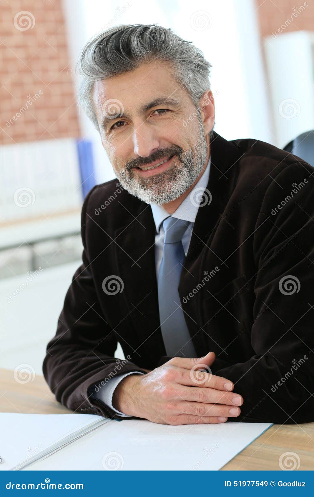 Portrait of Successful Lawyer in Office Stock Image - Image of laywer ...