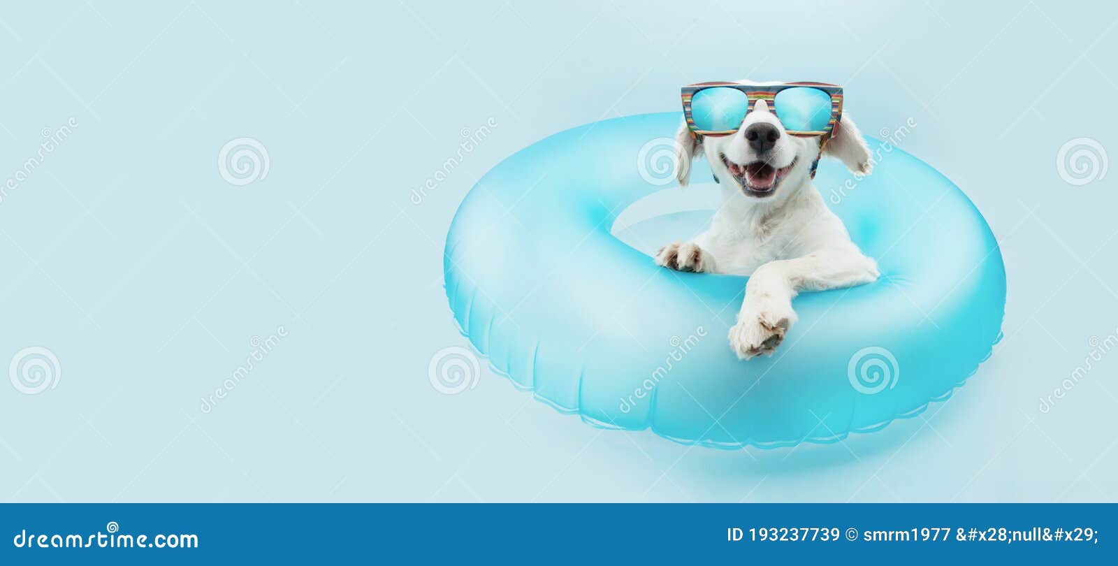 Blue Inflatable Balance Disk Isoleated On White Background, It Is Also ...