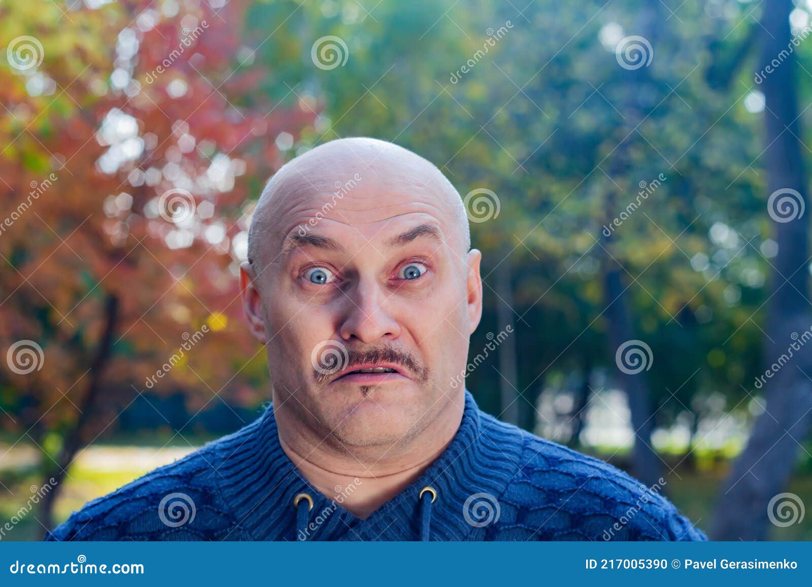 Portrait of a Surprised Bald Man in a Blue Sweater Stock Photo - Image ...