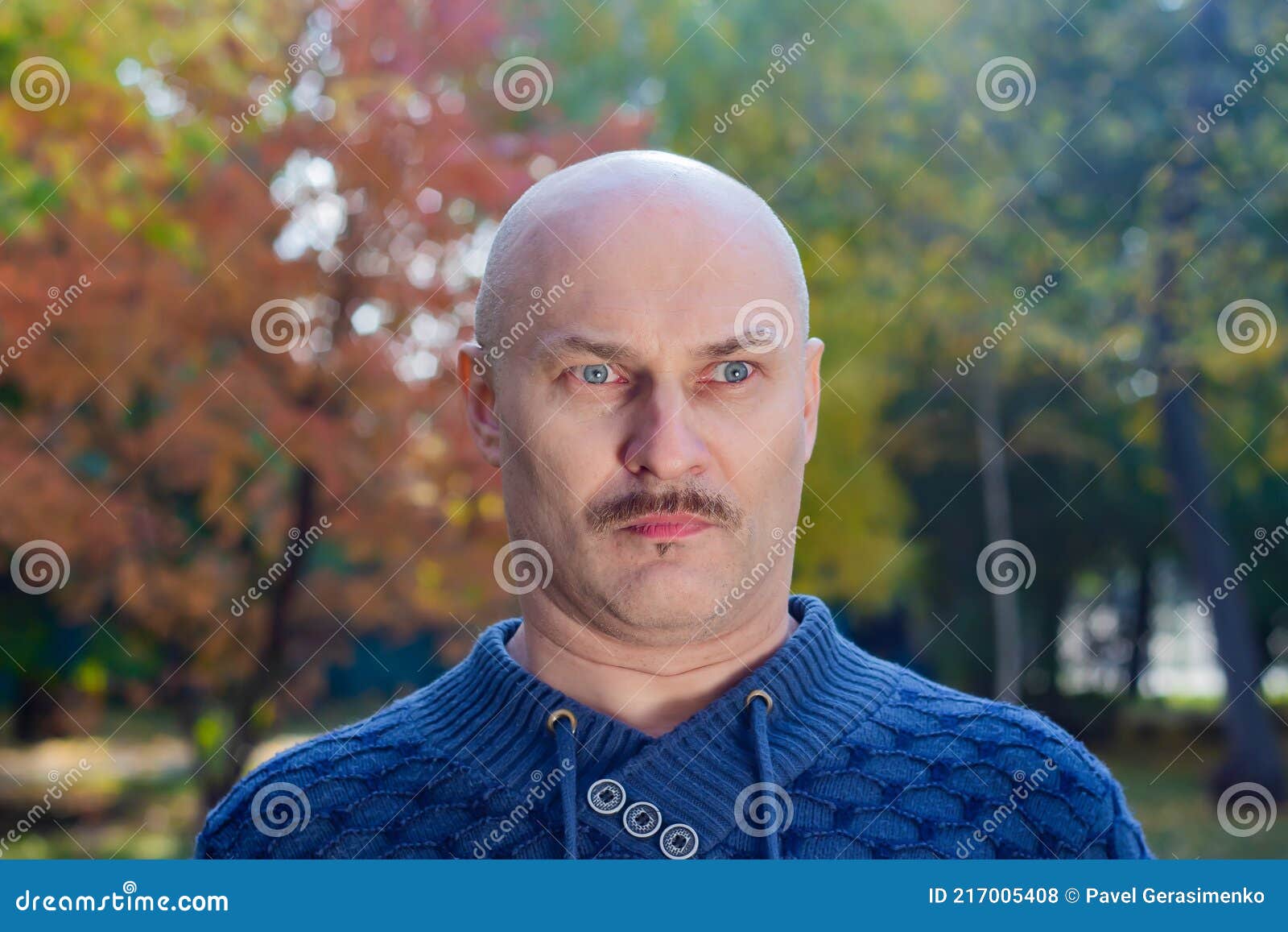 Portrait of a Surprised Bald Man in a Blue Sweater Stock Photo - Image ...