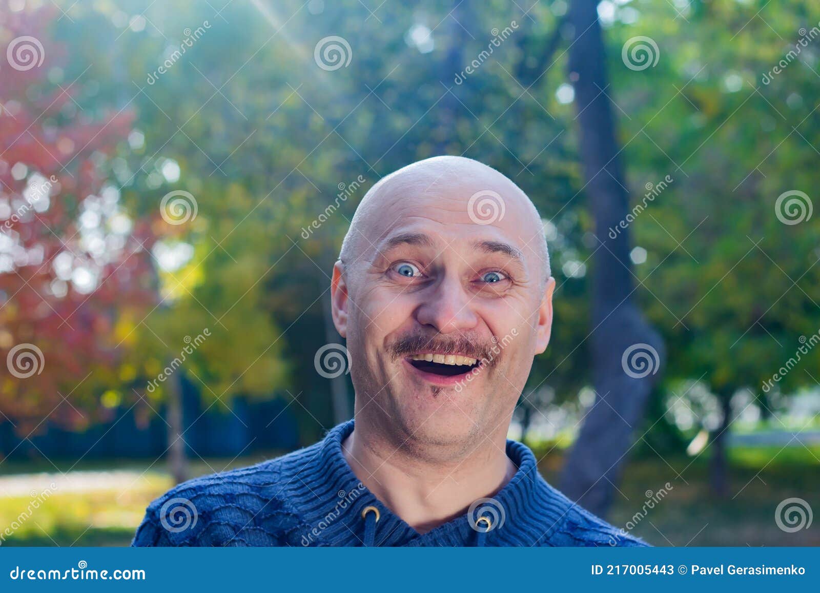 Portrait of a Surprised Bald Man in a Blue Sweater Stock Image - Image ...