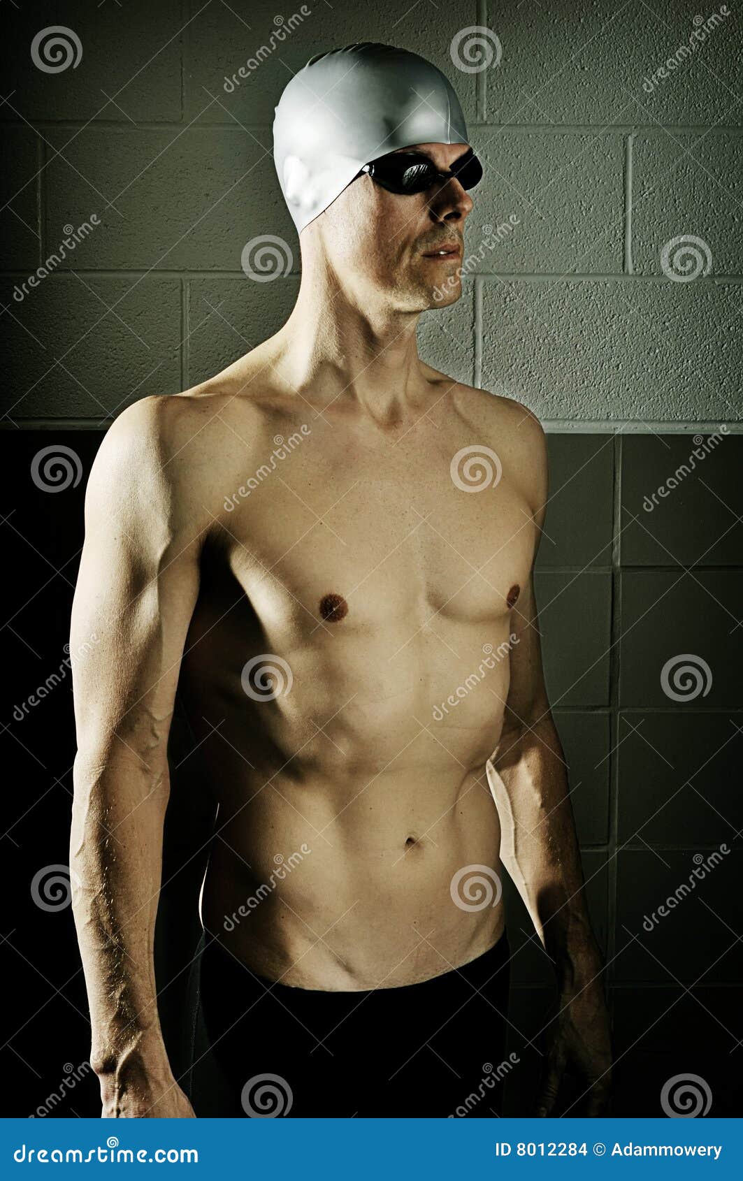 Portrait of a swimmer stock photo. Image of sport, strong - 8012284