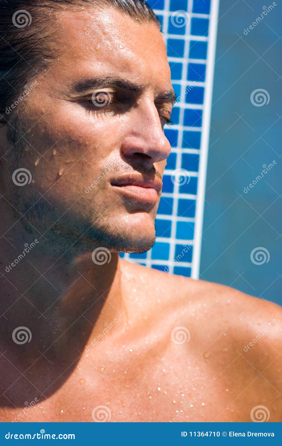 Portrait in swimming pool stock photo. Image of natural - 11364710