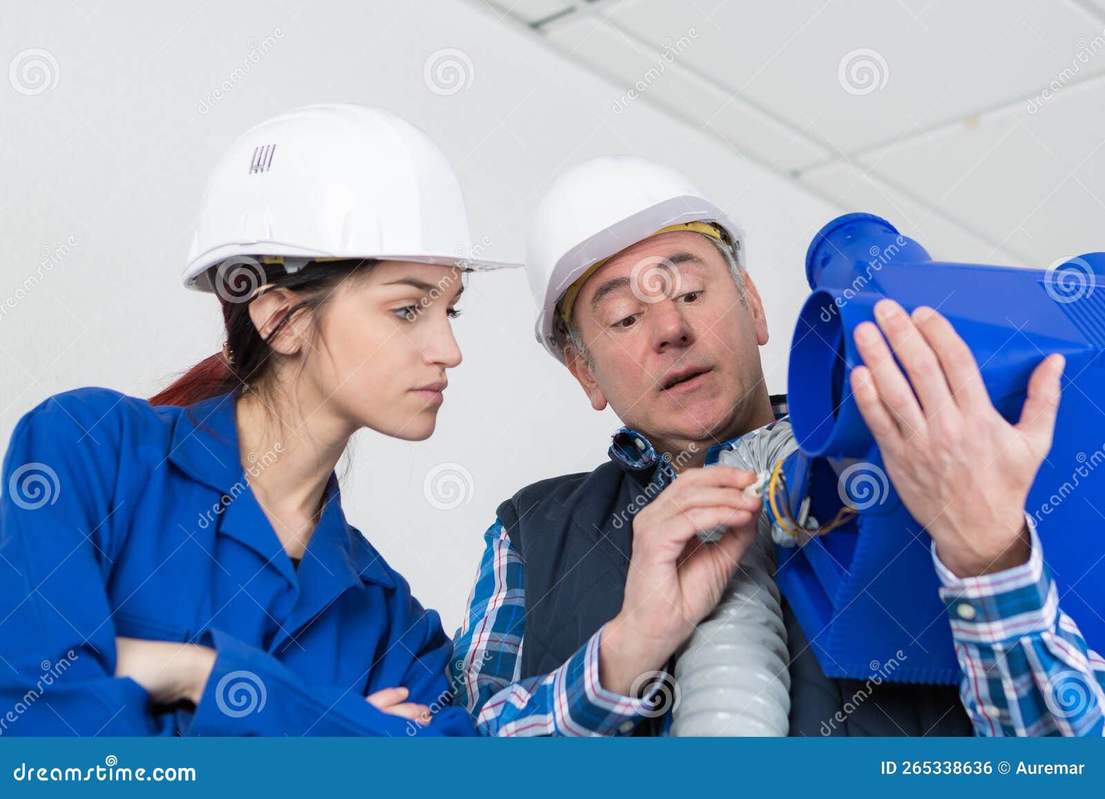 Portrait Team Working with Fans Fans Stock Photo - Image of production ...