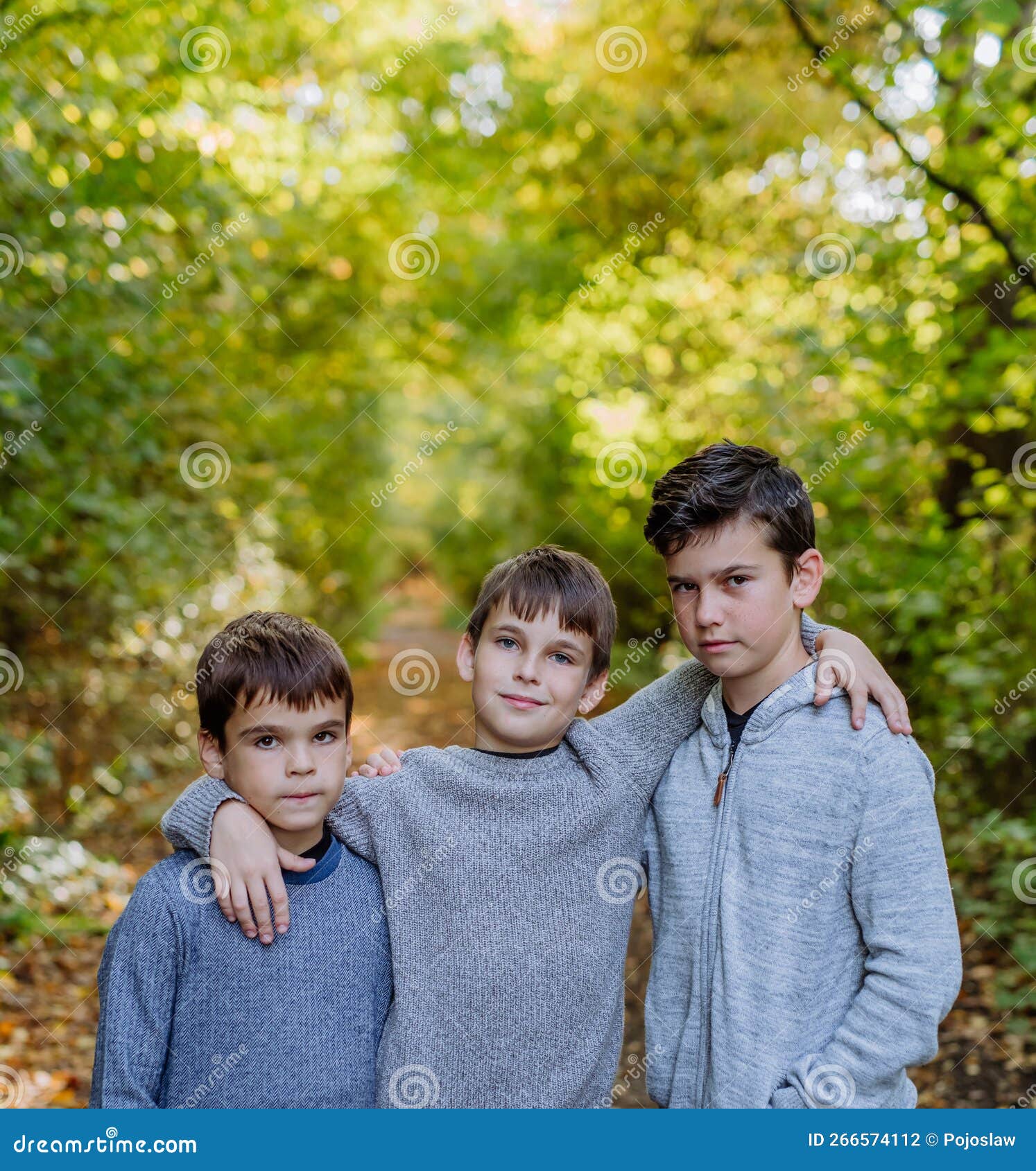 Portrait of Three Boys, Brothers Standing in Forest. Stock Photo ...