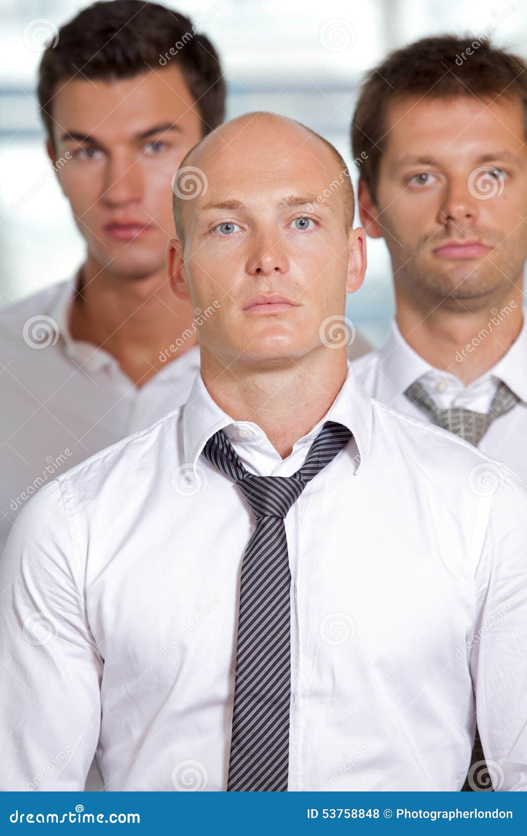 Portrait of Three Businessman at Office Stock Photo - Image of adult ...