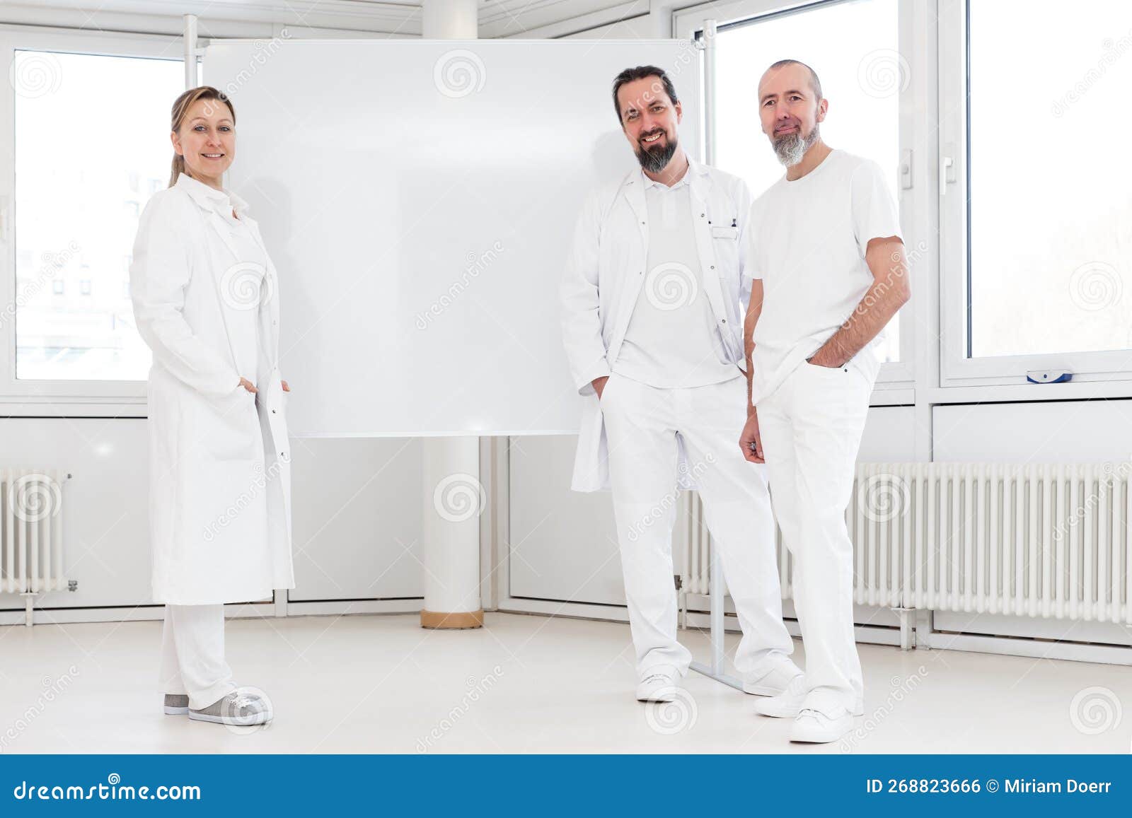 Portrait of Three Doctors, Standing in Front of a Whiteboard Stock ...