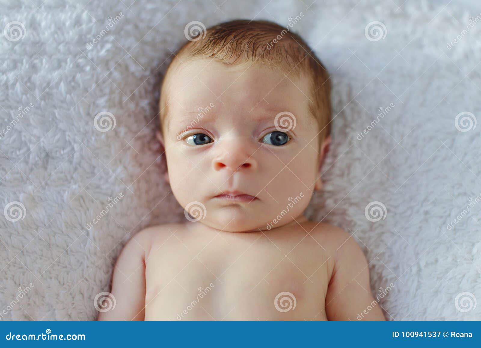 Portrait of tiny newborn stock image. Image of home - 100941537