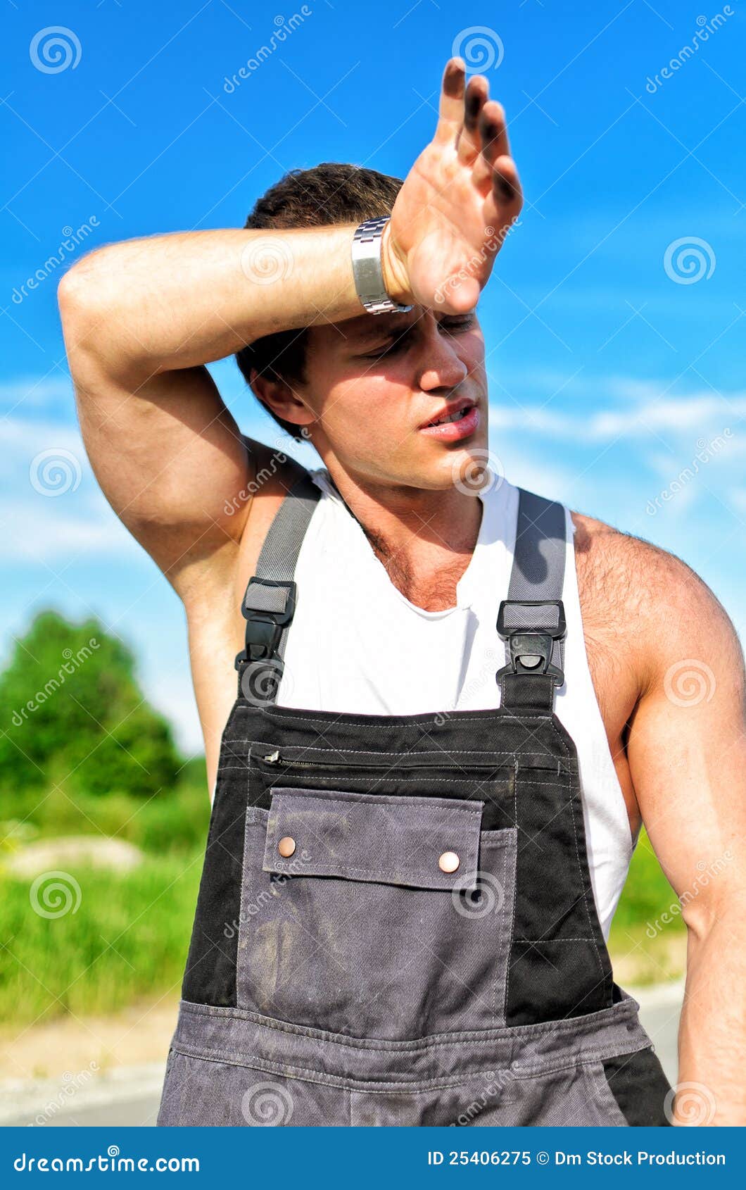 Portrait of a Tired Mechanic Stock Image - Image of problems, nature ...