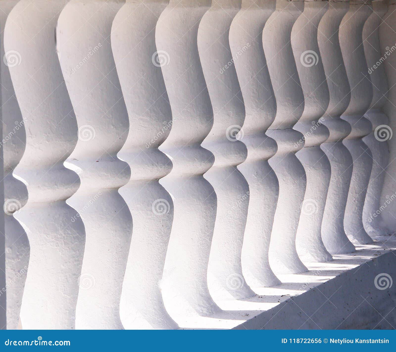 Portrait of a Tree in a Stump Stock Photo - Image of beautiful, design ...