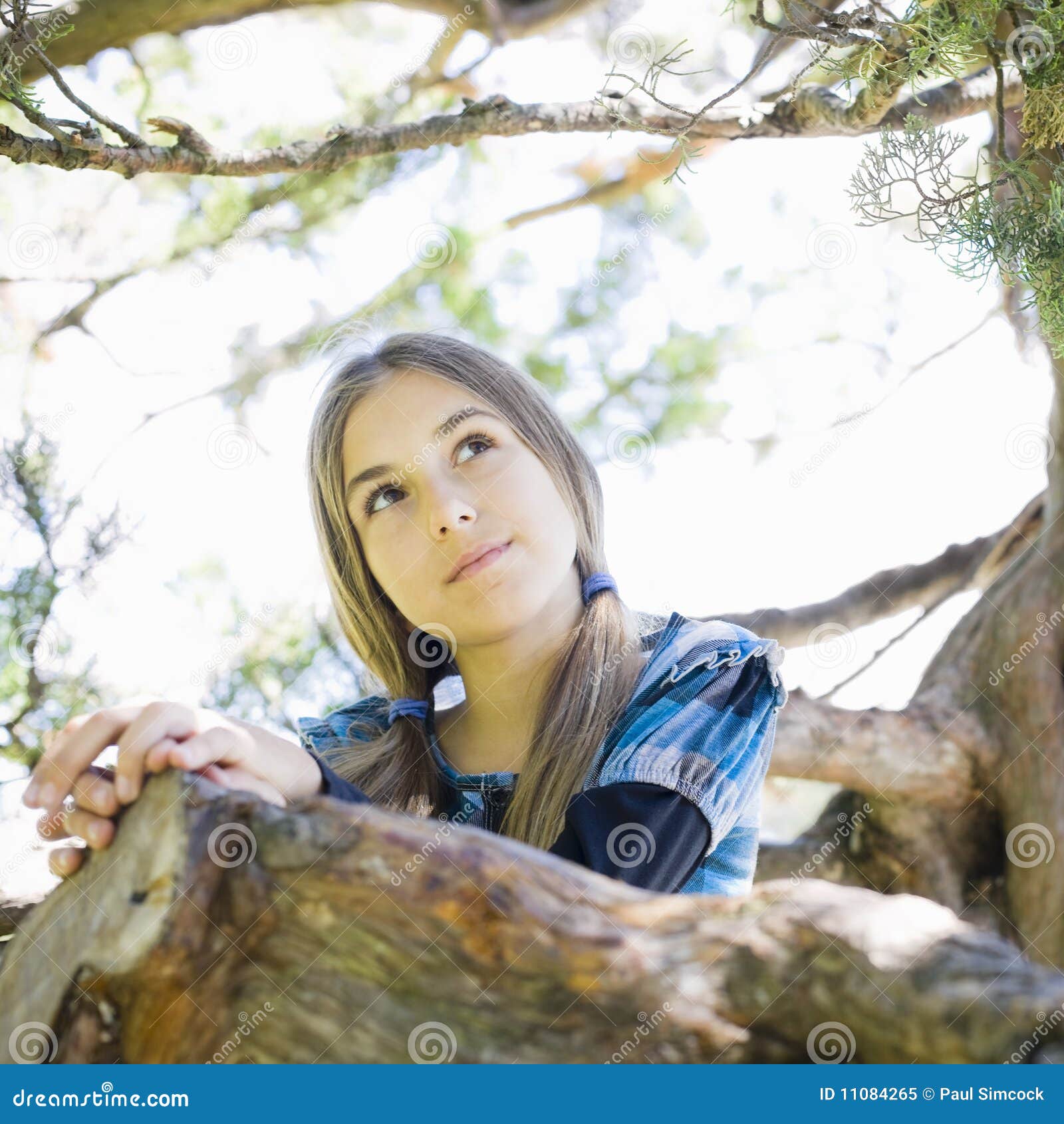 Portrait of Tween Girl in Tree Stock Image - Image of nature ...