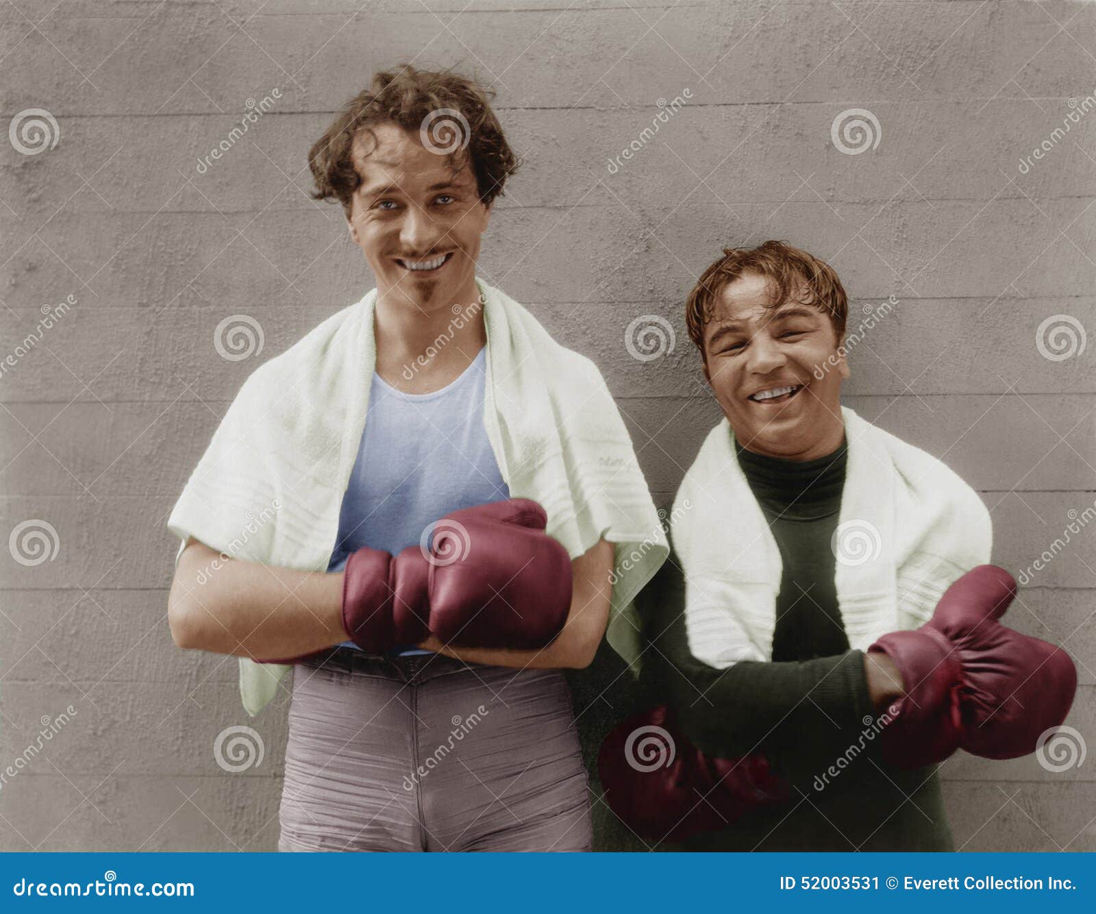 Portrait of two boxers stock image. Image of cheerful - 52003531