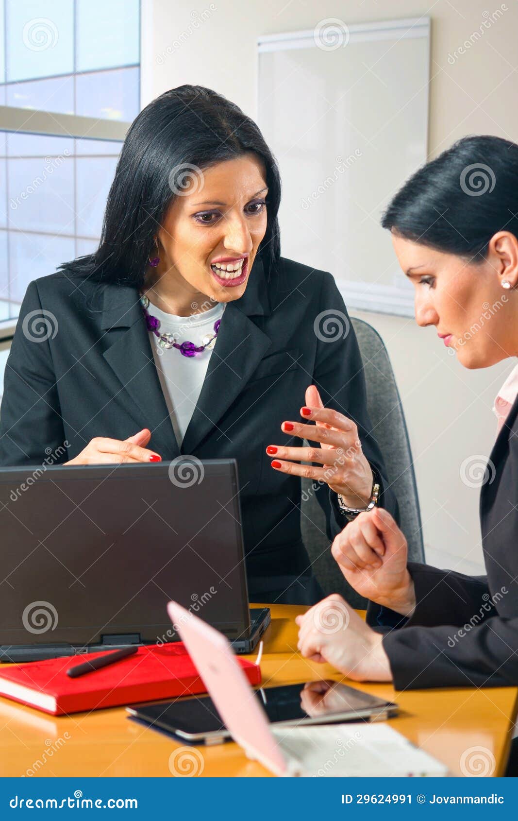 Portrait of Two Business Women Stock Image - Image of partner, contract ...