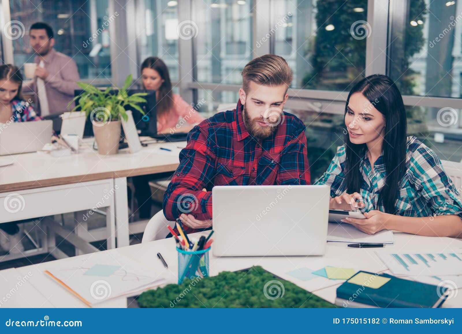 Portrait of Two Busy Colleagues Working with Laptop on Financial ...