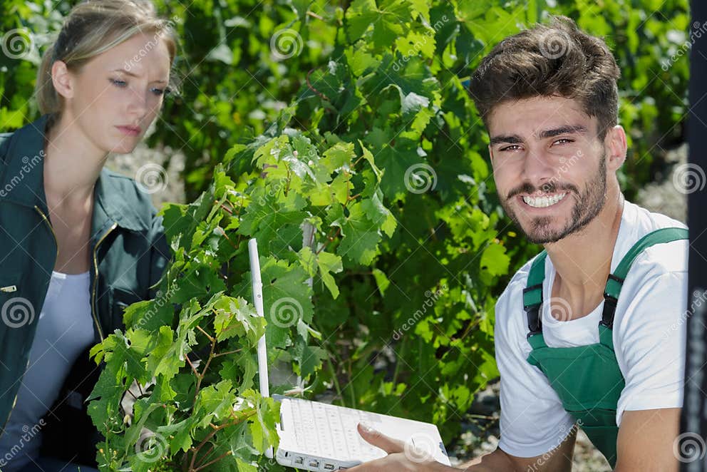 Portrait Two Joyful Smiling Vineyard Workers Stock Image - Image of ...
