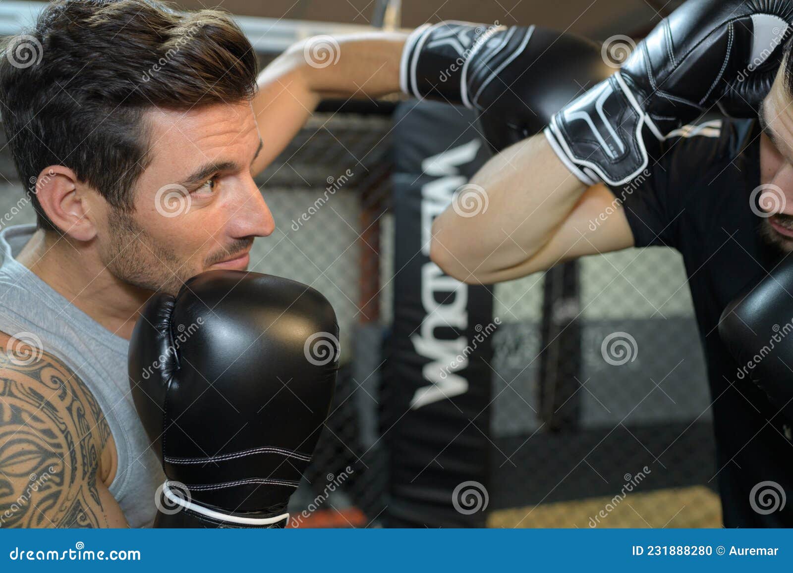 Portrait two men boxing stock photo. Image of fitnessman - 231888280