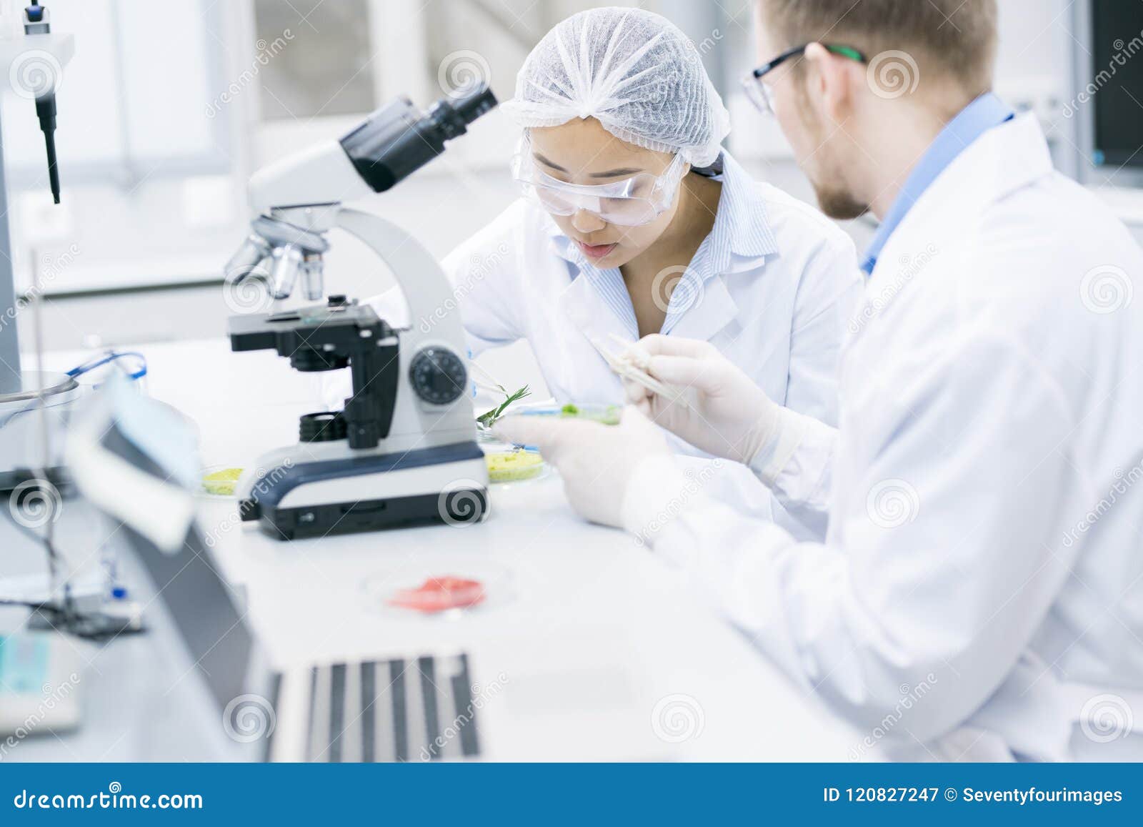 Team of Scientists Working in Laboratory Stock Image - Image of virus ...