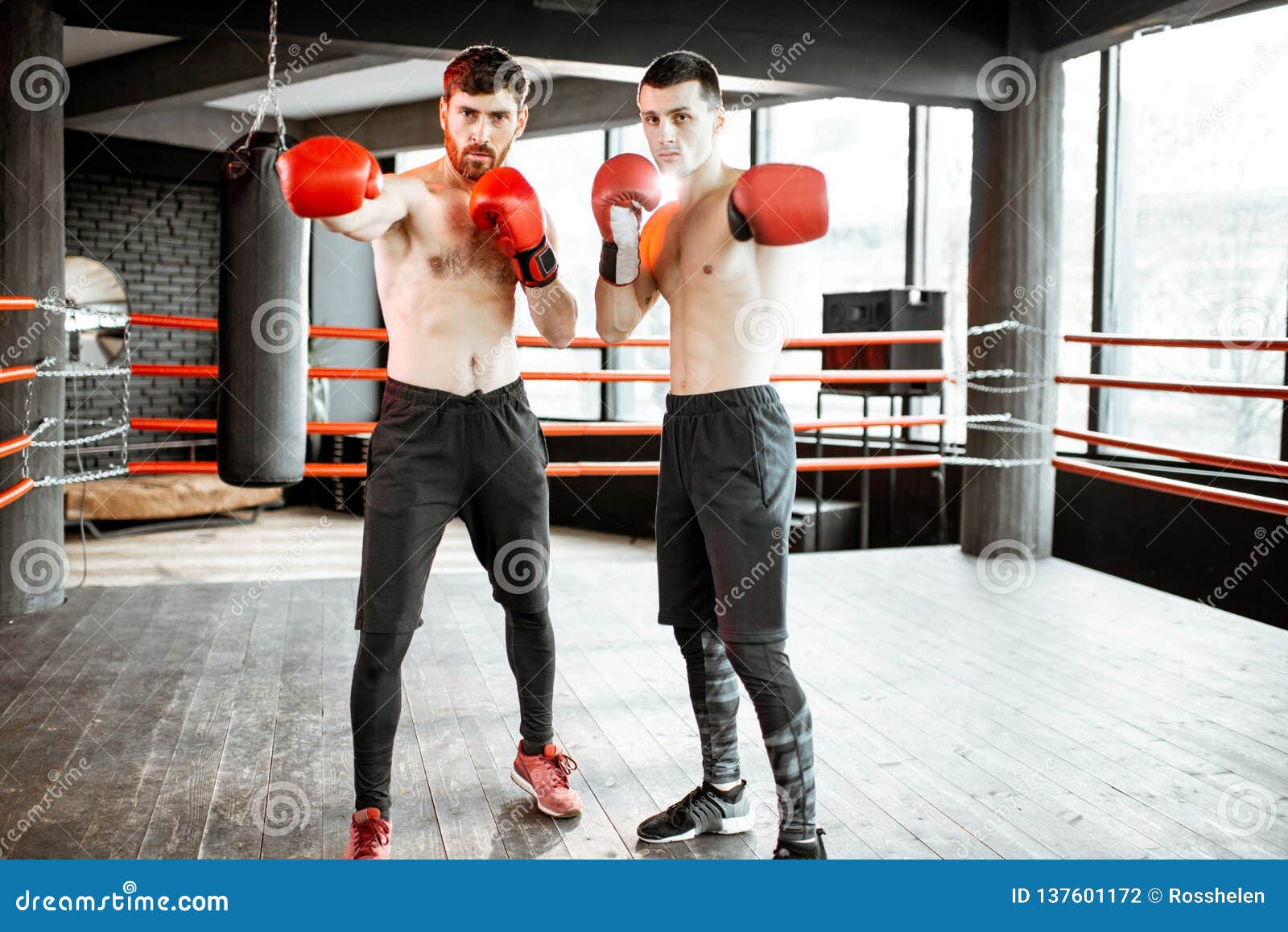 Two Professional Boxers Training at the Gym Stock Photo - Image of ...