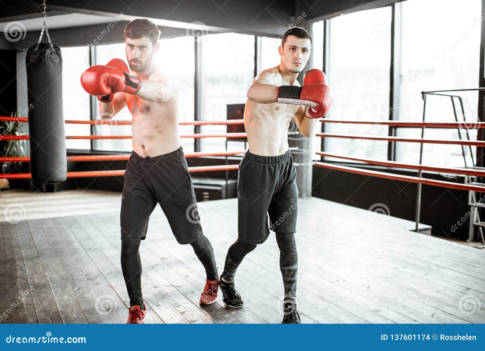 Two Professional Boxers Training at the Gym Stock Photo - Image of ...
