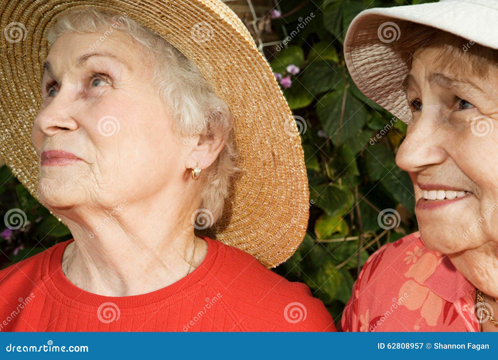 Portrait of Two Senior Women Stock Image - Image of nursing, process ...