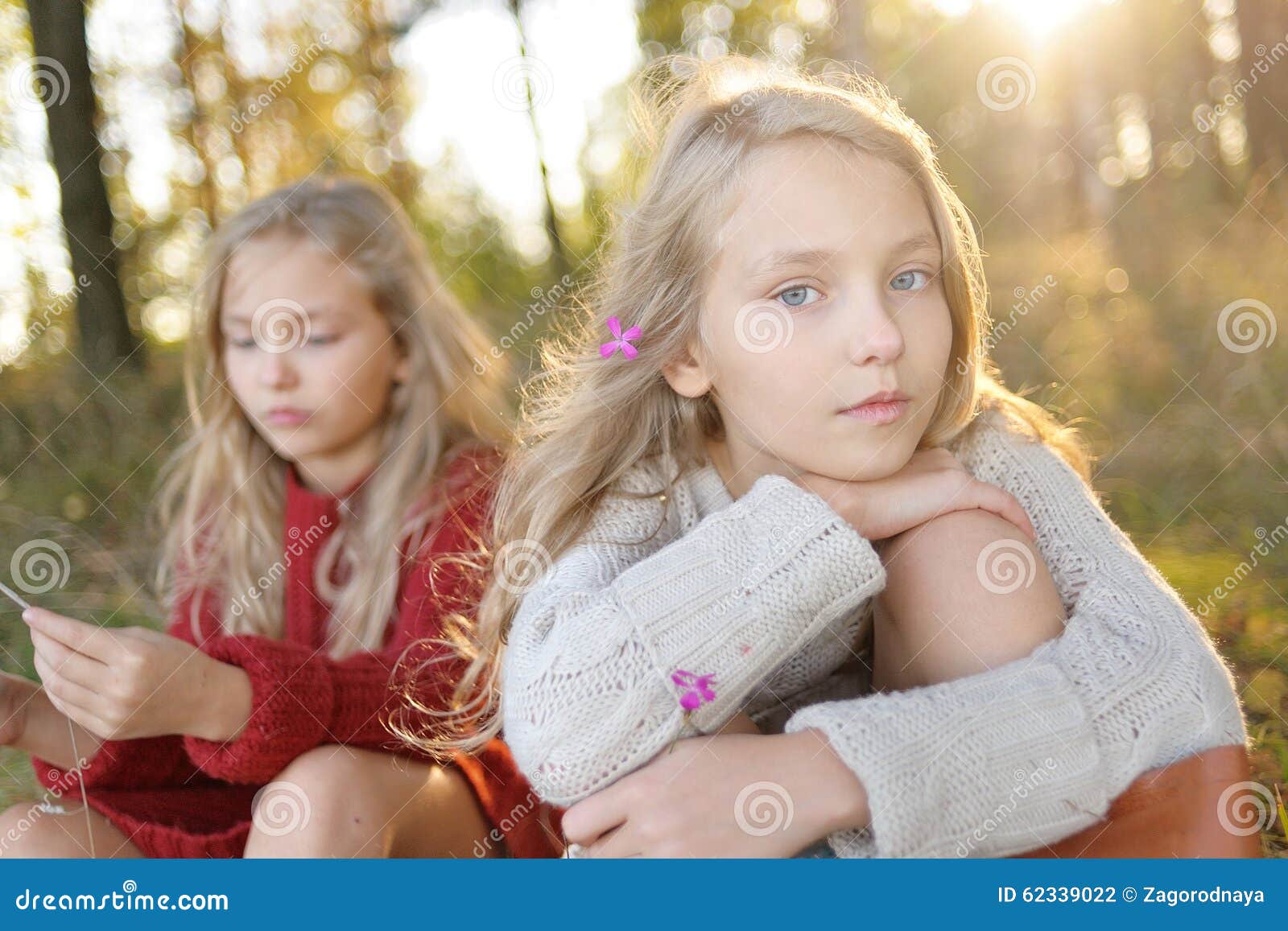Portrait of two sisters stock photo. Image of autumn - 62339022