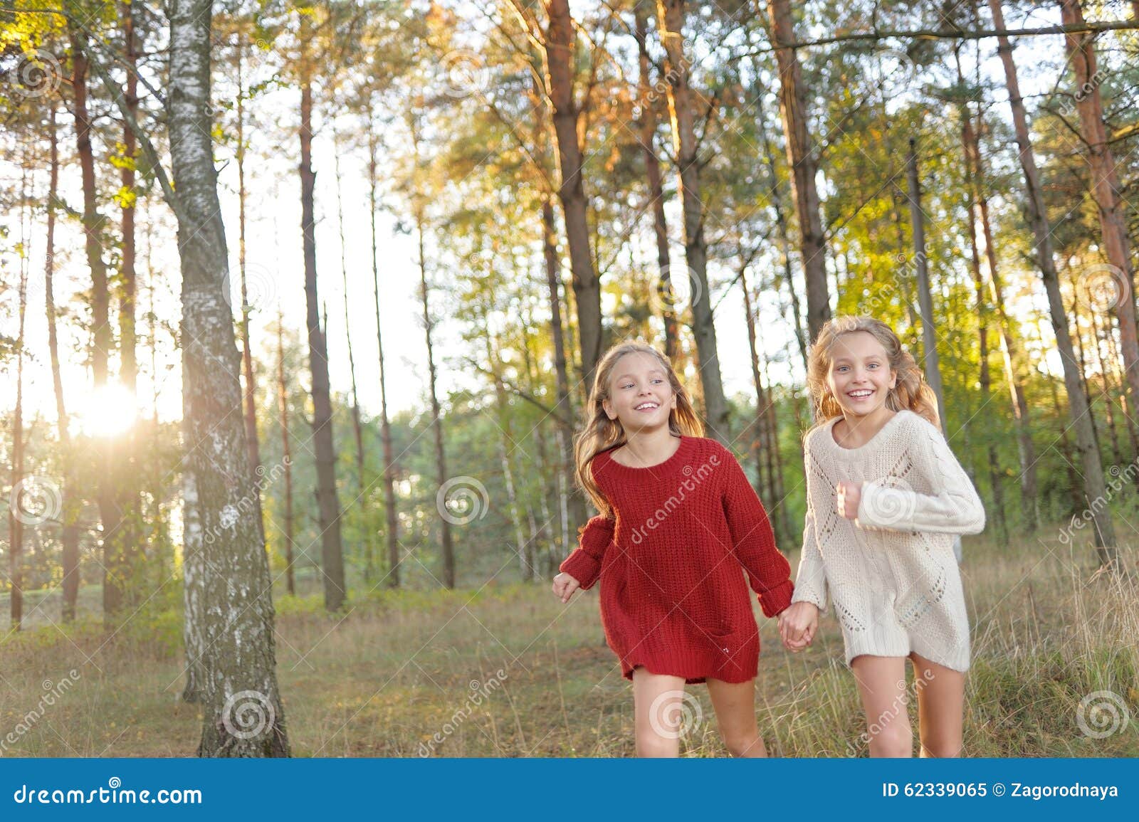 Portrait of two sisters stock image. Image of sister - 62339065
