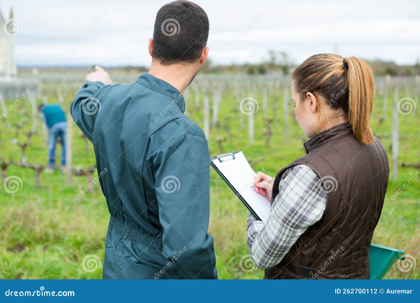 Portrait Two Vineyard Workers Stock Photo - Image of promotional ...