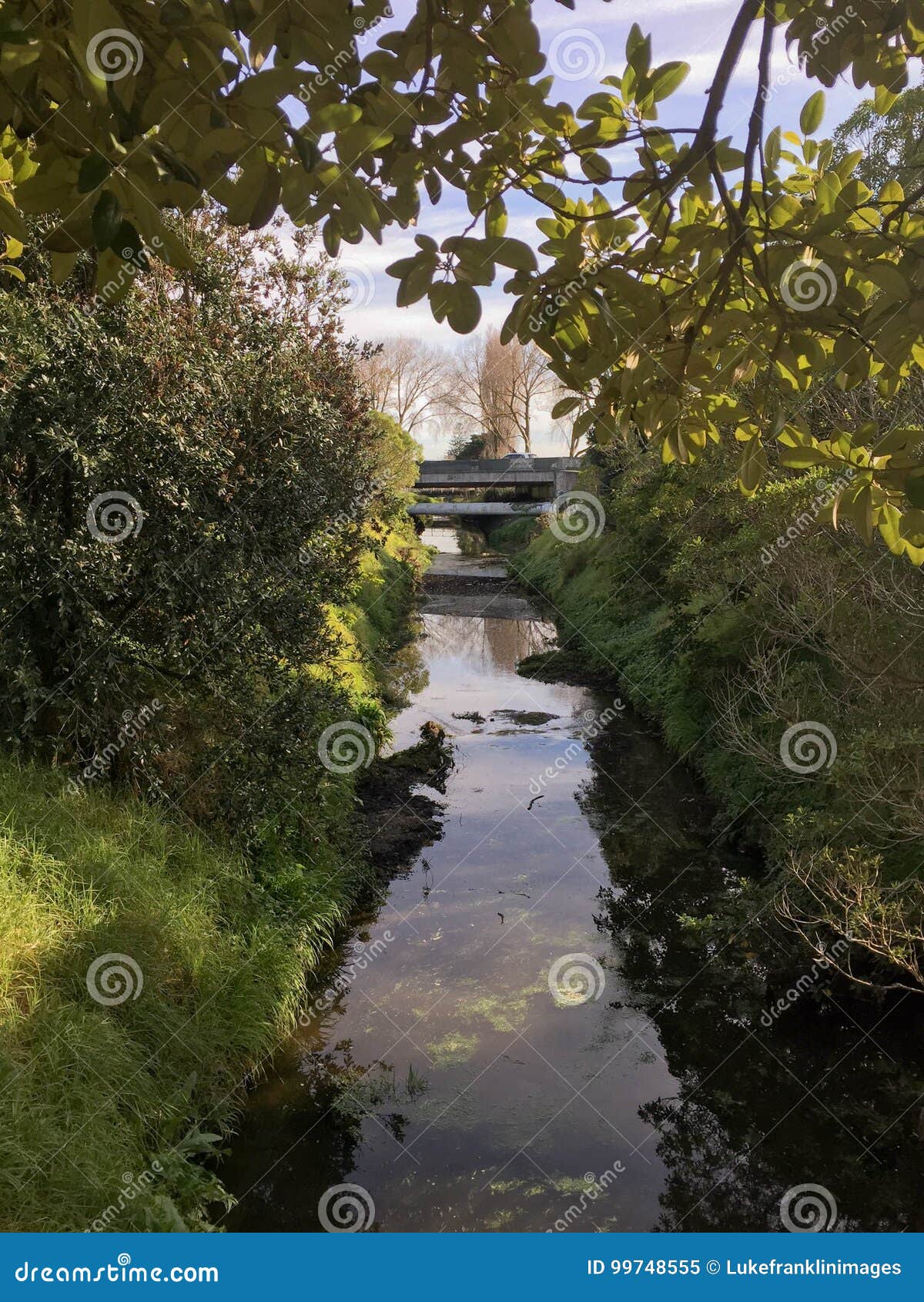 Portrait view of a gutter stock image. Image of landscape - 99748555