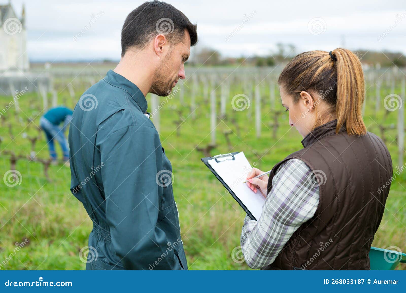 Portrait Vineyard Supervisor Checking Attendance Stock Image - Image of ...