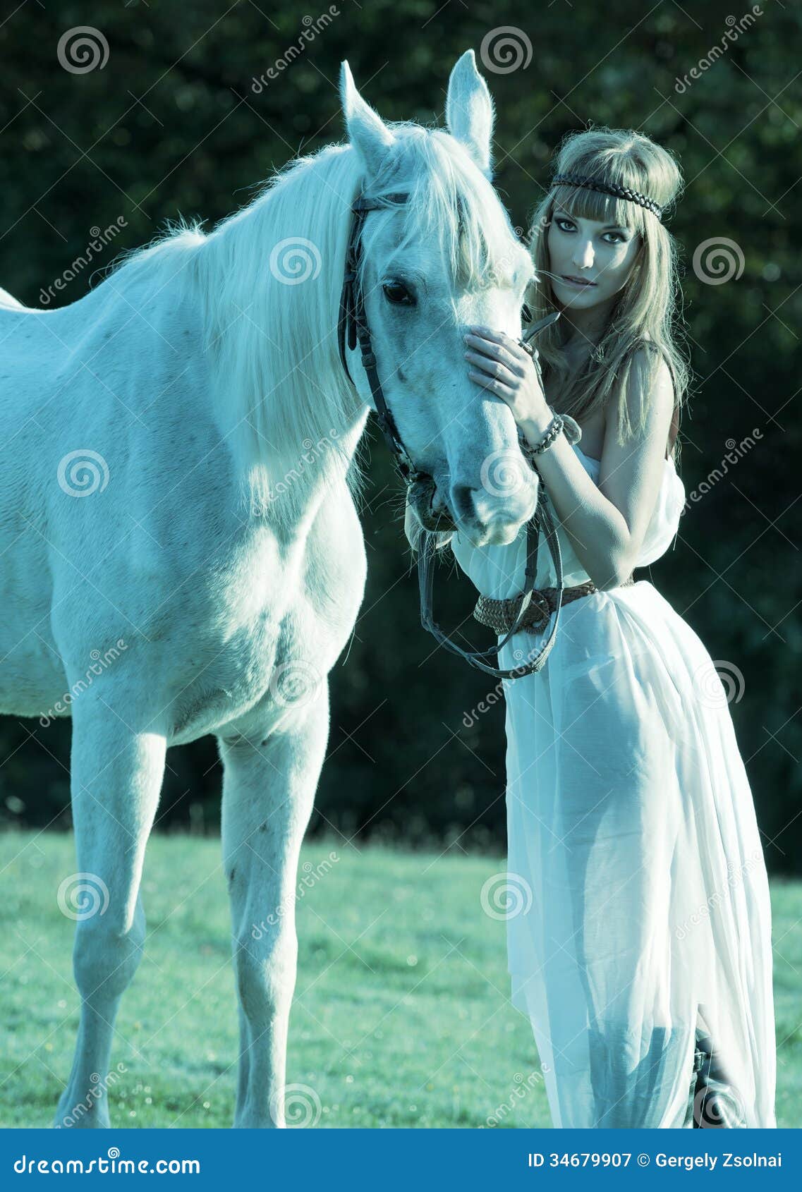 Portrait of a White Horse and Woman Stock Image - Image of female ...