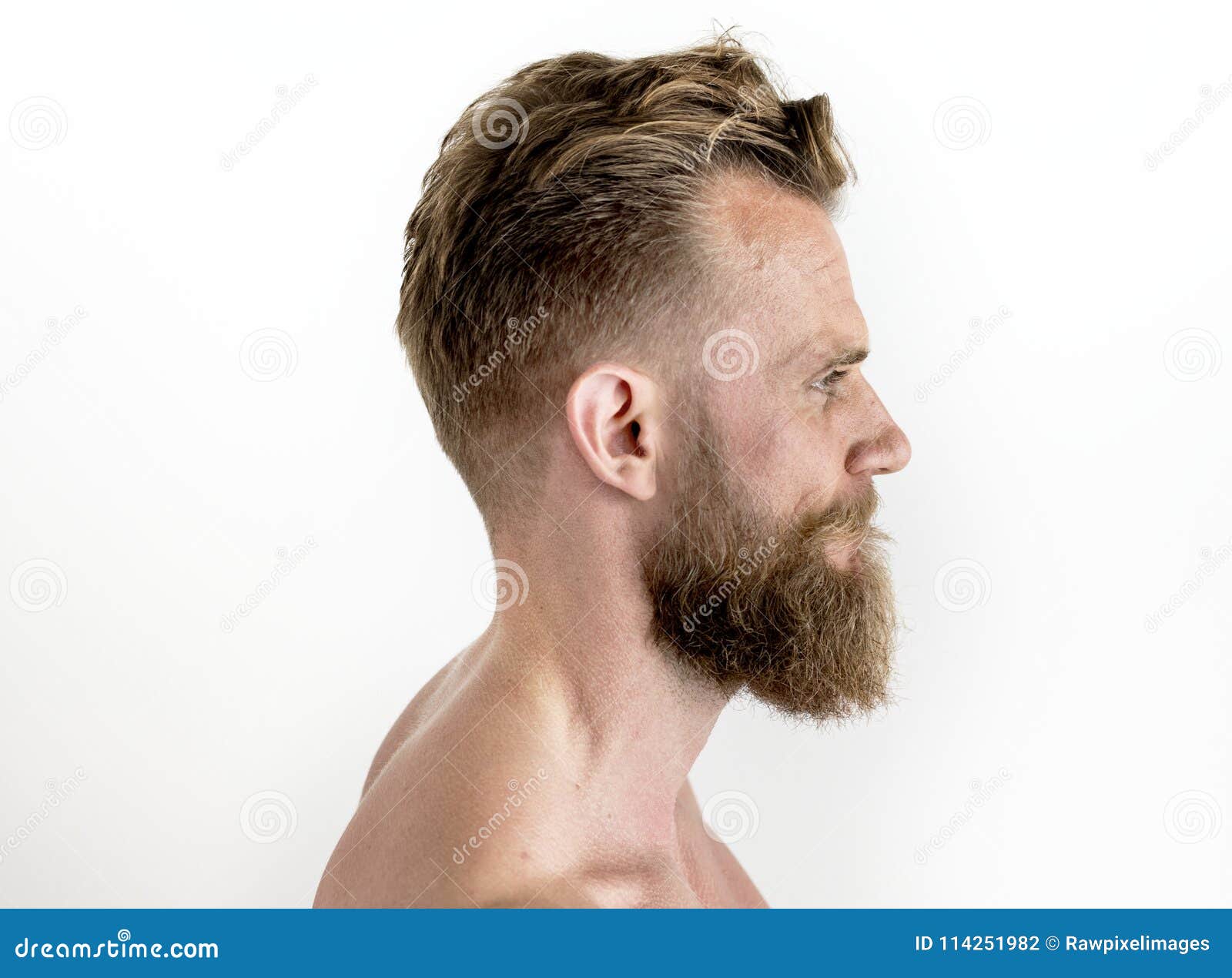 Portrait of White Man Isolated Stock Photo - Image of blond, adult ...