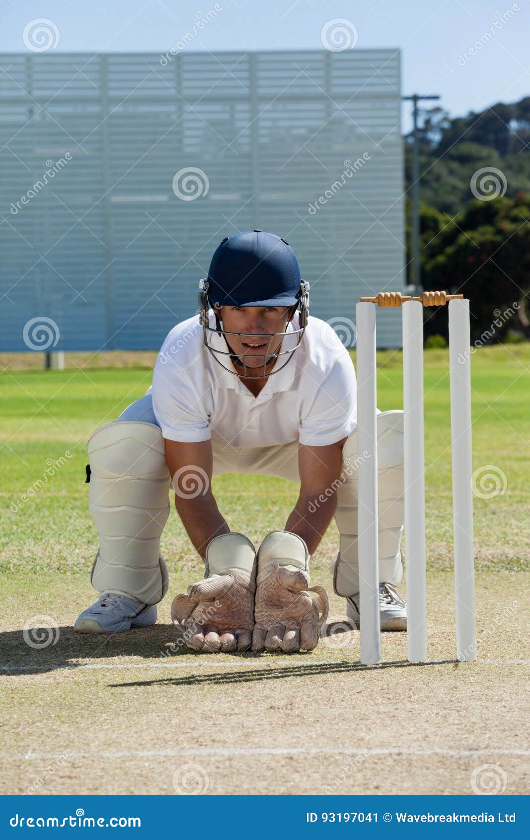 Portrait of Wicketkeeper Crouching Behind Stumps on Field Stock Image ...