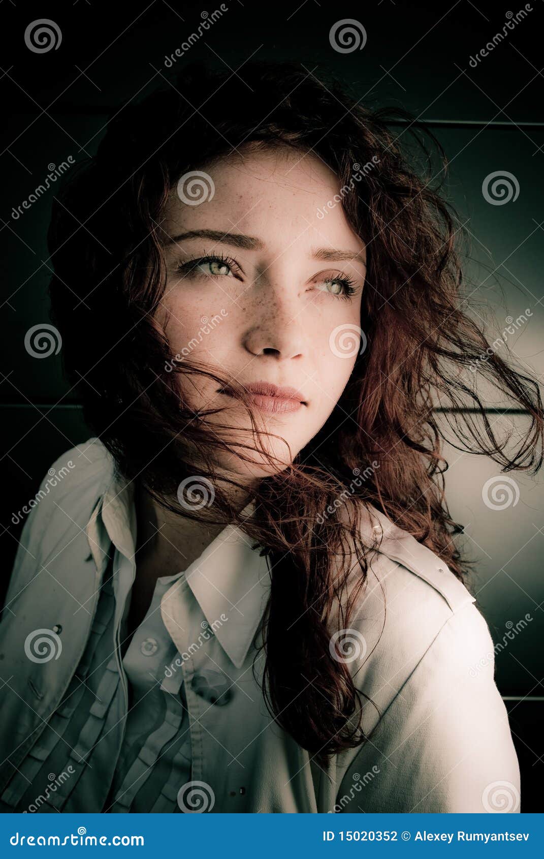Portrait on a wind stock photo. Image of style, enigmatic - 15020352